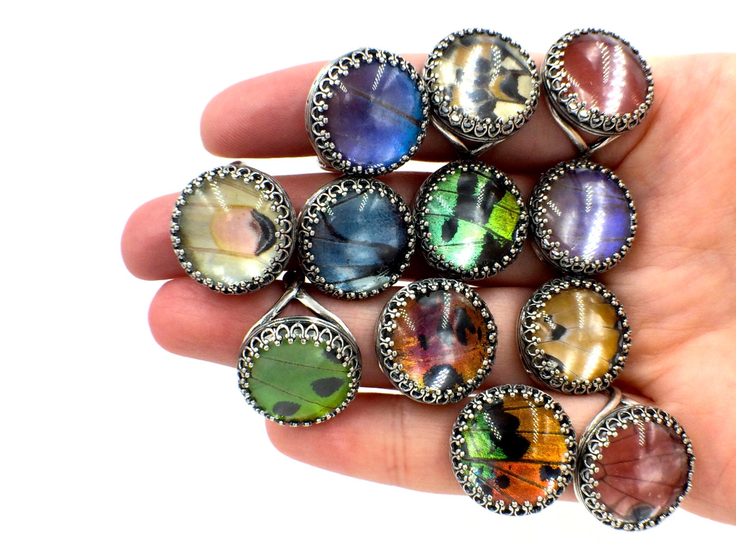 Real Moth Wings Ring Cool Rings Sunset Moth Taxidermy Ring Weird Stuff ...