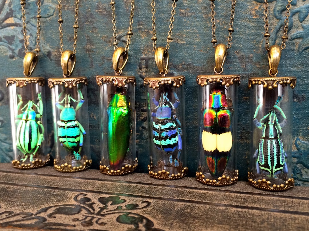 Real Beetle Necklace Unique Jewelry Terrarium Necklace Witch Necklace ...