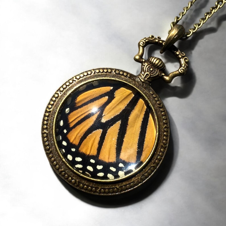 Real Monarch Butterfly Wing Necklace Ethically Sourced Taxidermy ...