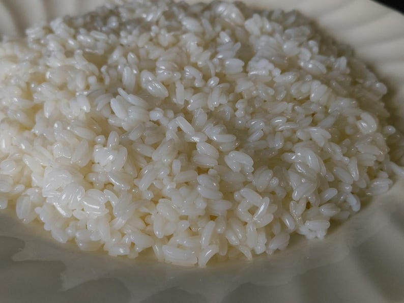 Fluffy White Rice Fake Food Elaborate Handmade Food Replica Art ...