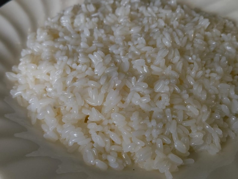 Fluffy White Rice Fake Food Elaborate Handmade Food Replica Art ...