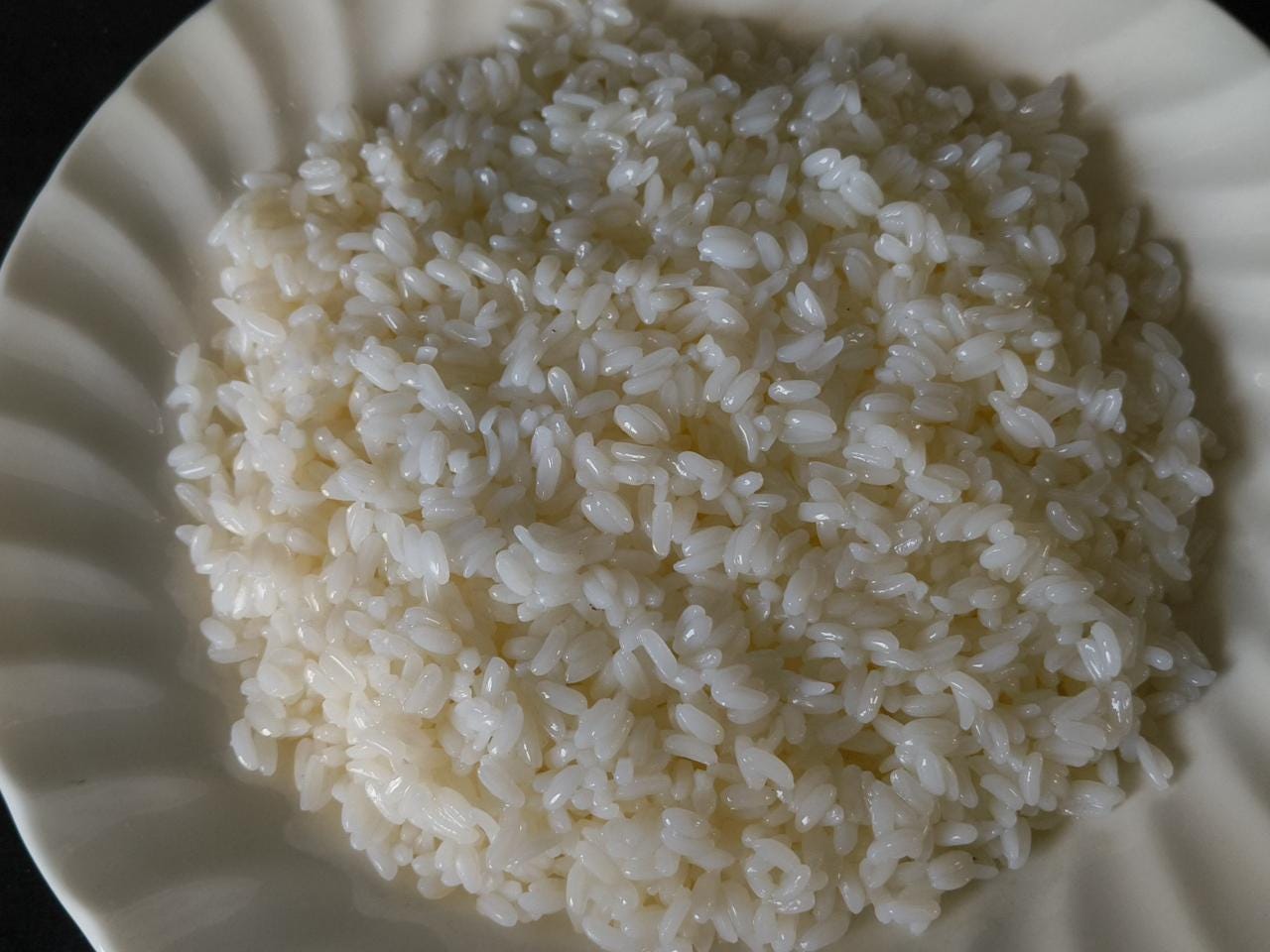 Fluffy White Rice Fake Food Elaborate Handmade Food Replica Art ...