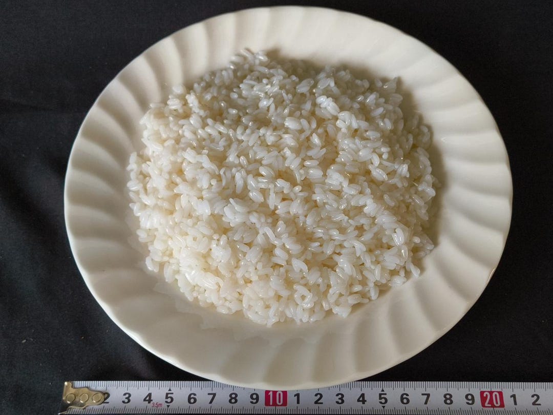 Fluffy White Rice Fake Food Elaborate Handmade Food Replica Art ...