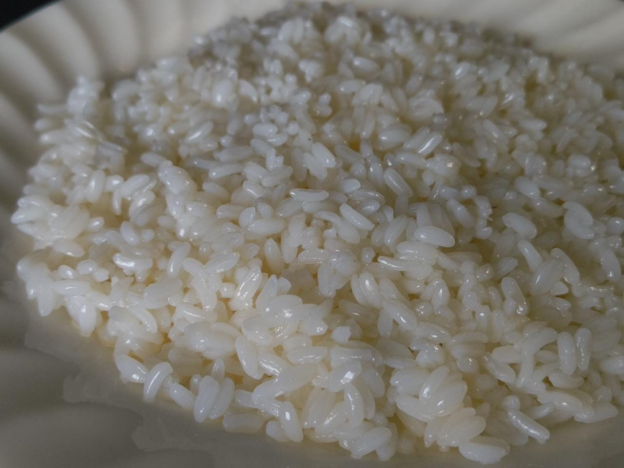 Fluffy White Rice Fake Food Elaborate Handmade Food Replica Art ...