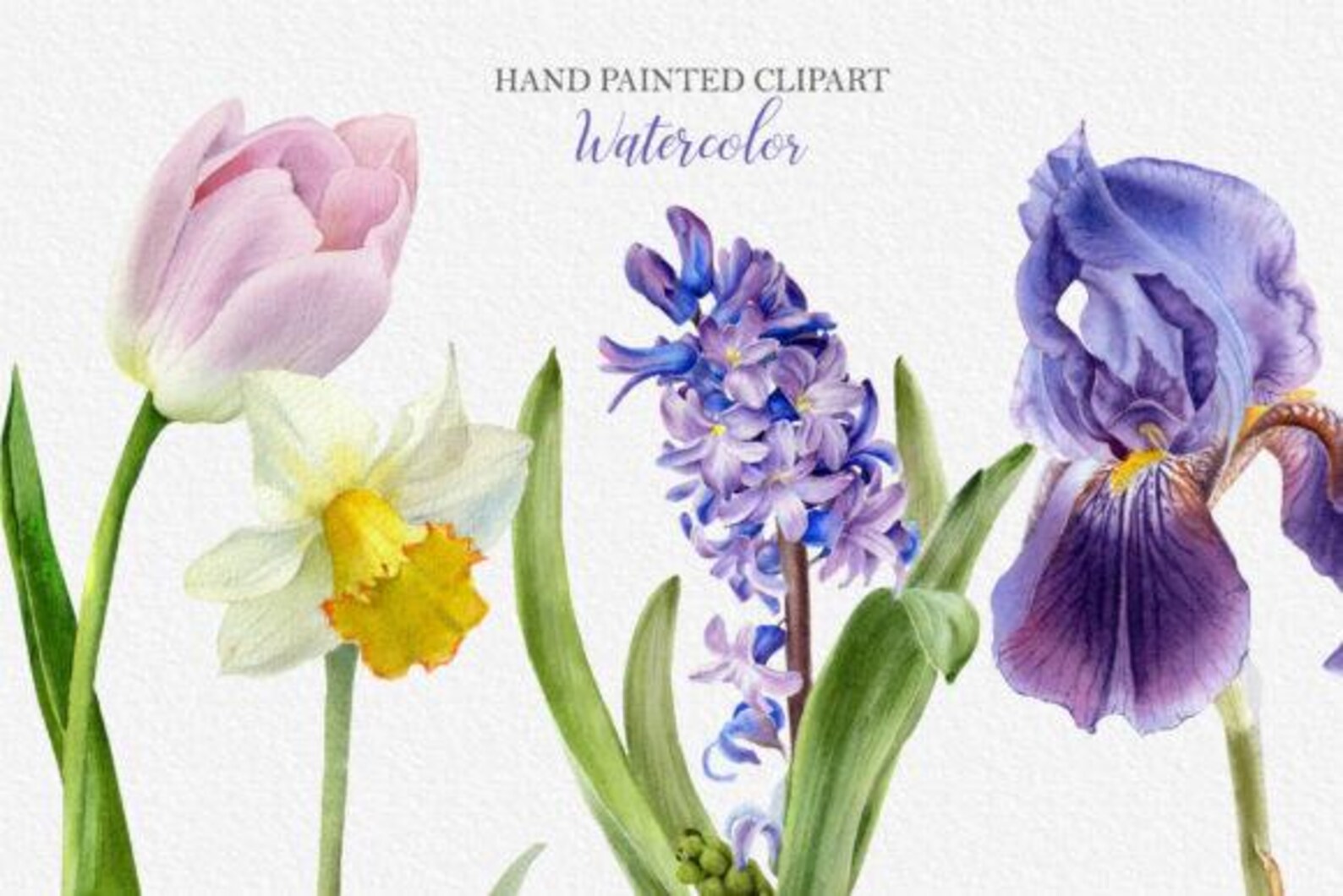 Spring Watercolor Flowers, Summer Watercolor Flowers, Wild Flowers Png ...