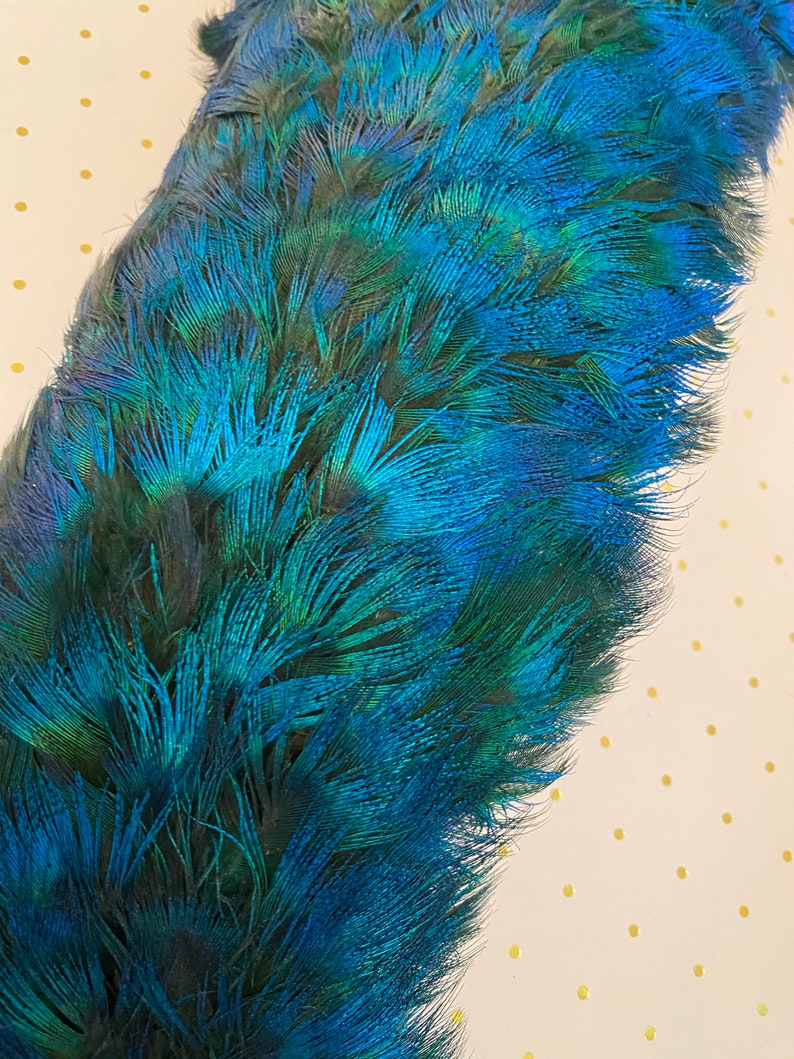 Most Beautiful Feather Millinery Trim Incredible and Rare | Etsy