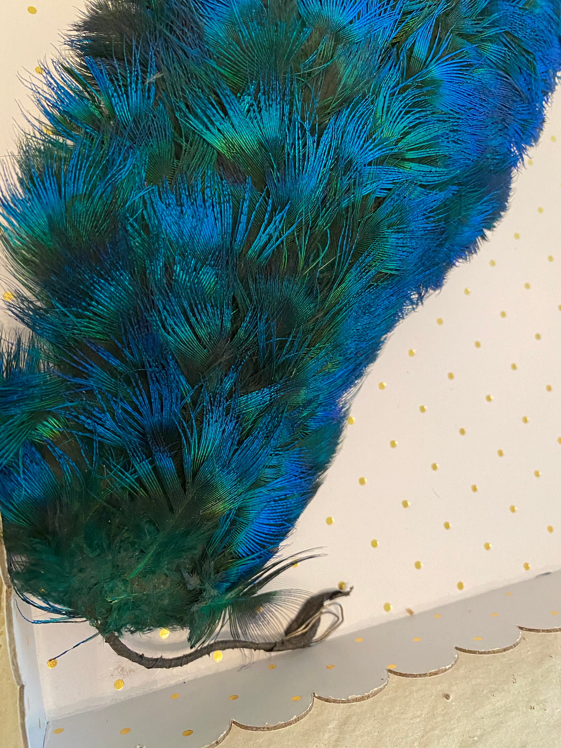 Most Beautiful Feather Millinery Trim Incredible and Rare - Etsy