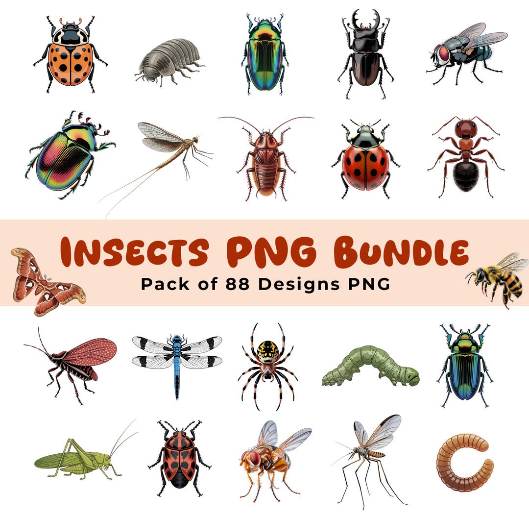 Insect Png Clipart Bundle, Colorful Insects Clipart Bundle, Bugs ...