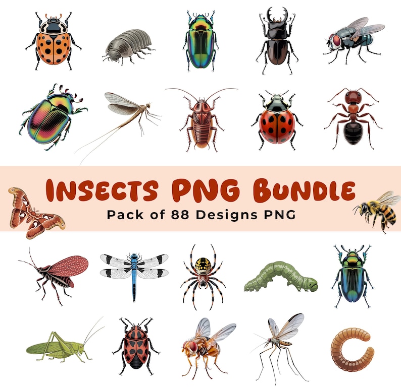 Insect Png Clipart Bundle, Colorful Insects Clipart Bundle, Bugs ...