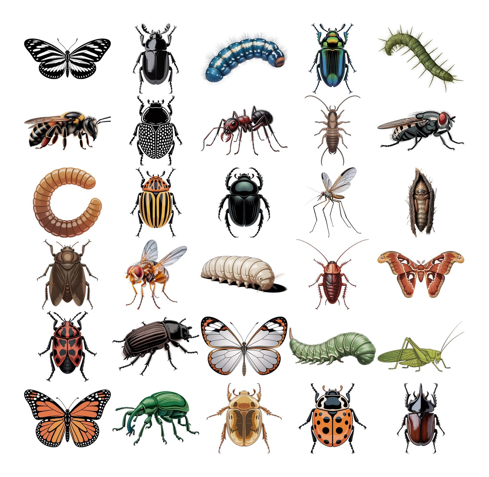 Insect Png Clipart Bundle, Colorful Insects Clipart Bundle, Bugs ...