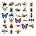 Insect Png Clipart Bundle, Colorful Insects Clipart Bundle, Bugs ...