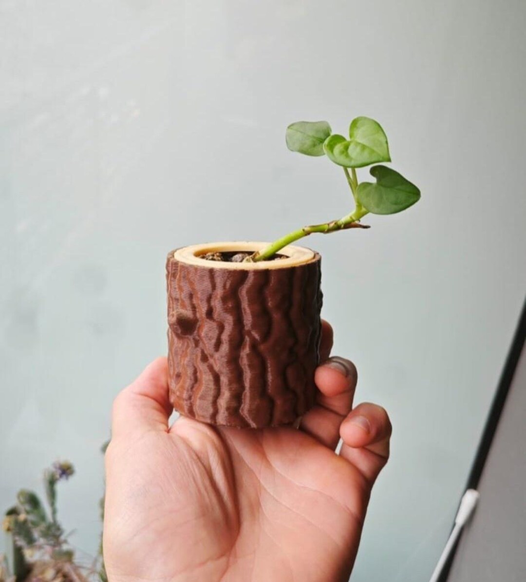Rustic 3D Printed Log Planter – Nature-inspired Succulent & Desk Pot - Etsy