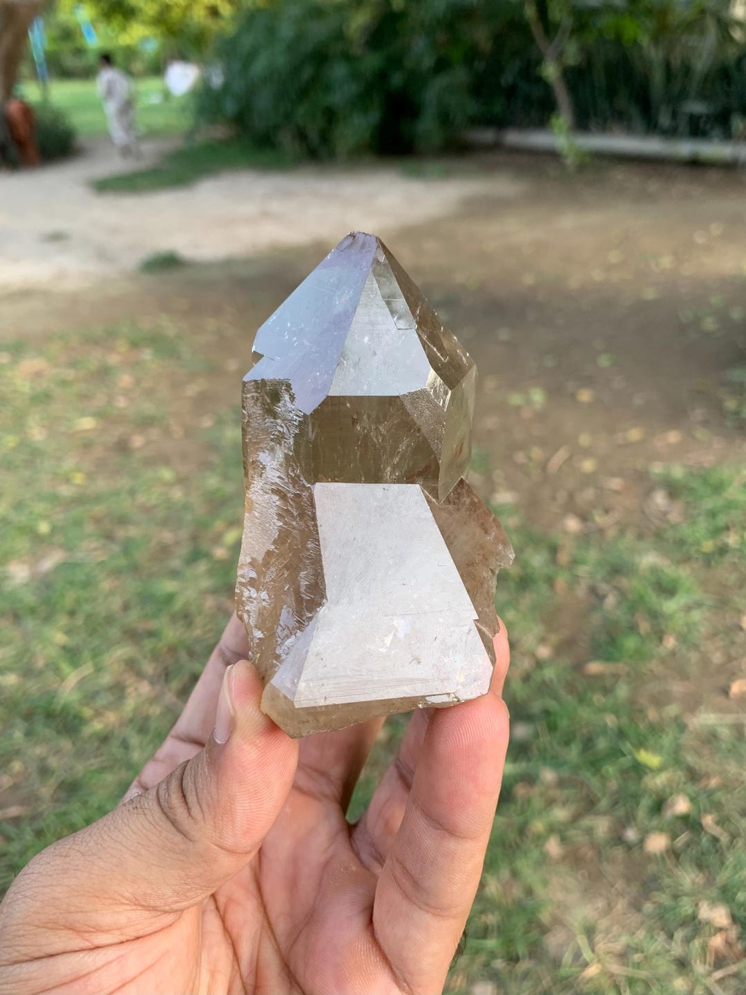 Himalayan Smoky Quartz Crystal: Terminated Point With Inclusions - Etsy