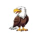 Eagle Mascot Vector: School Spirit Design (digital Download) - Etsy