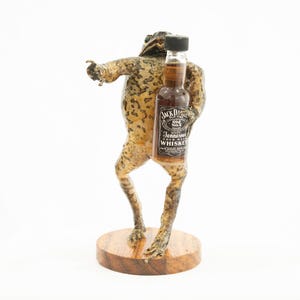 Genuine Taxidermy Cane Toad (non- Alcoholic Liquid) - Etsy