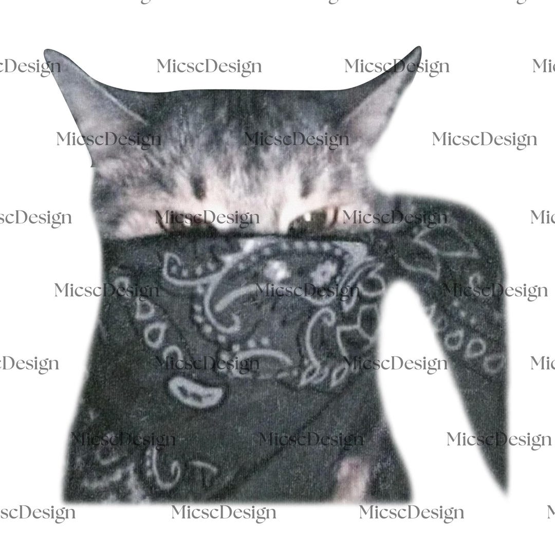 Wacky Cat Svg Png, Summer Fun Cat PNG, Funny Cat Png, Summer Cat ...