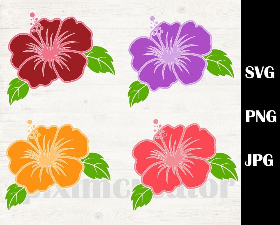 Hibiscus Flower SVG, Hibiscus PNG, Hibiscus Clipart, JPG, Hibiscus Flower Clipart, Colorful ...