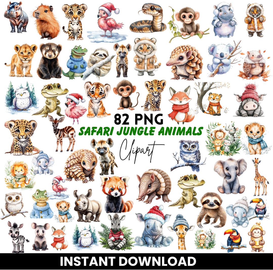 Safari Jungle Animals Clipart: Zoo Wild Animals 82 PNG (digital ...