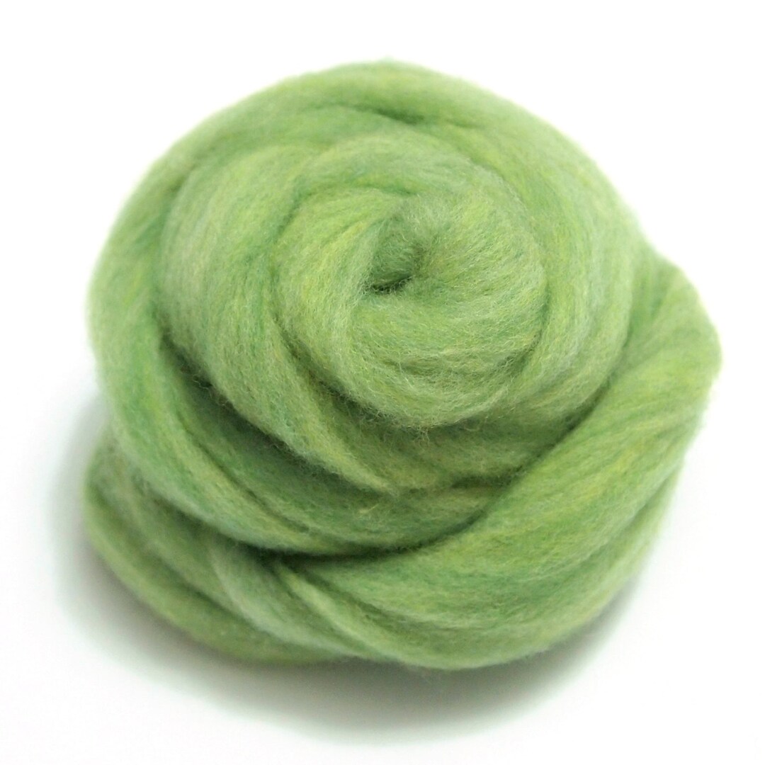 10g Super Fast Felting Short Fiber Wool Perfect in Needle Felt Prairie ...