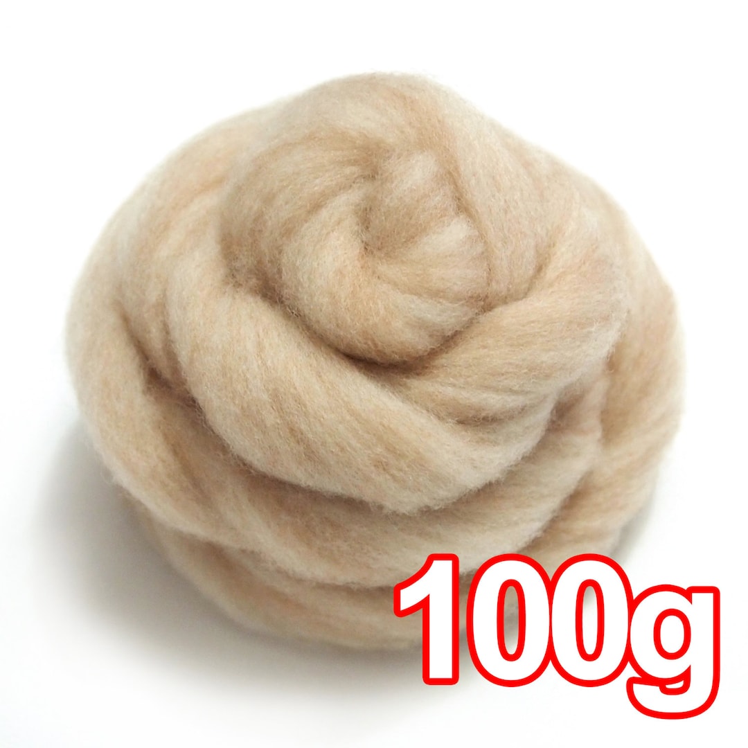 100g Super Fast Felting Short Fiber Wool Perfect in Needle Felt Mix ...