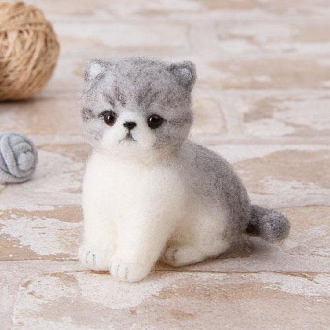 Exotic Shorthair DIY Handmade Wool Felt Kit - Japanese Kit Package H44 ...
