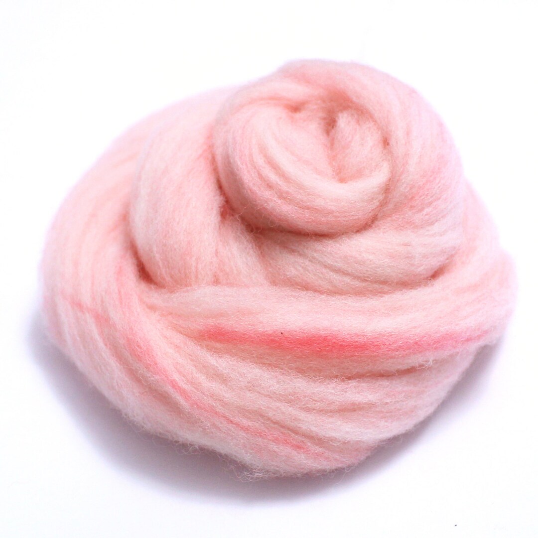 10g Super Fast Felting Short Fiber Wool Perfect in Needle Felt Dream ...