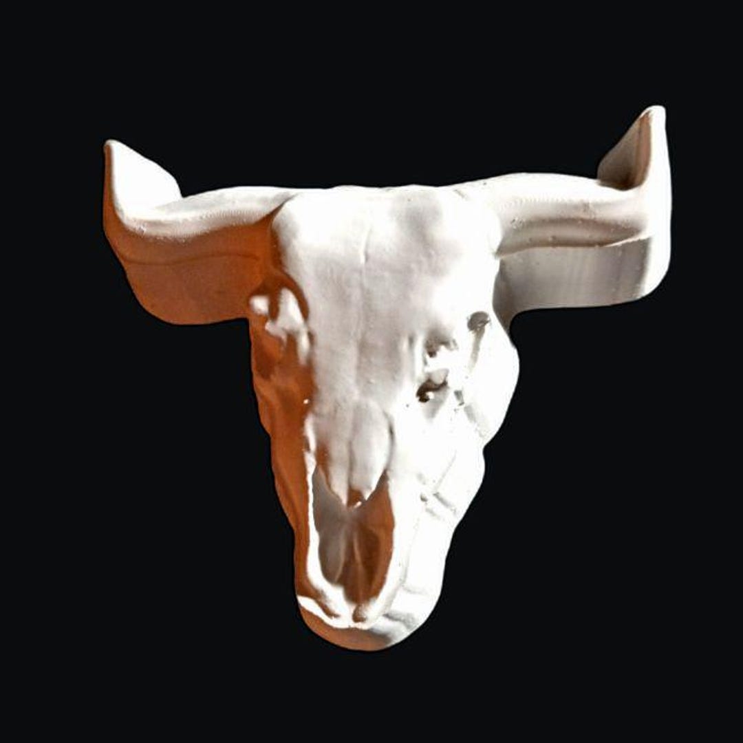 Ready to Paint Plaster, Steer Skull, Cow Skull, Cow, U Paint, DIY ...