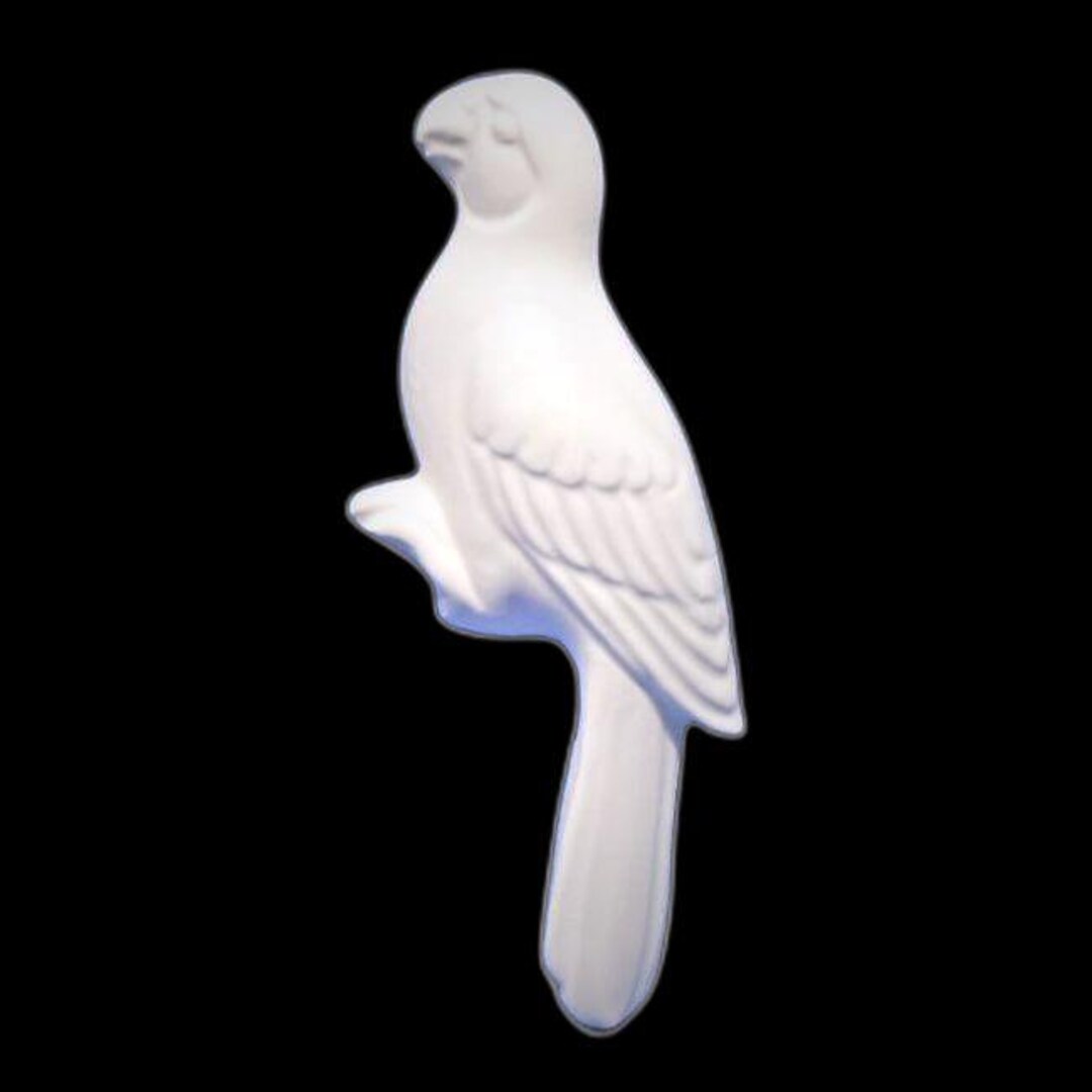 Ready to Paint Plaster, Parrot, Parakeet, Bird, Wall Decor, Ornament, U ...