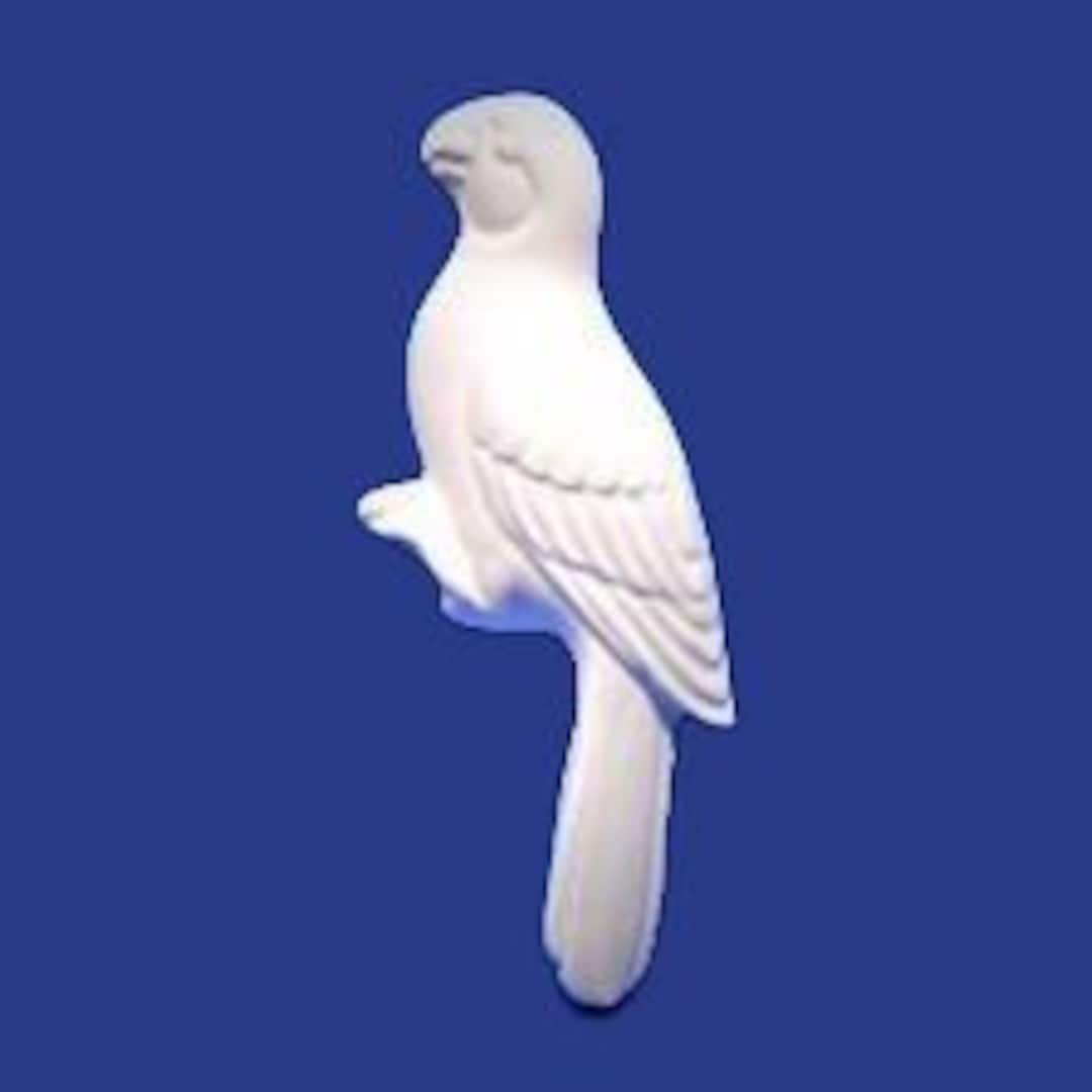 Ready to Paint Plaster, Parrot, Parakeet, Bird, Wall Decor, Ornament, U ...