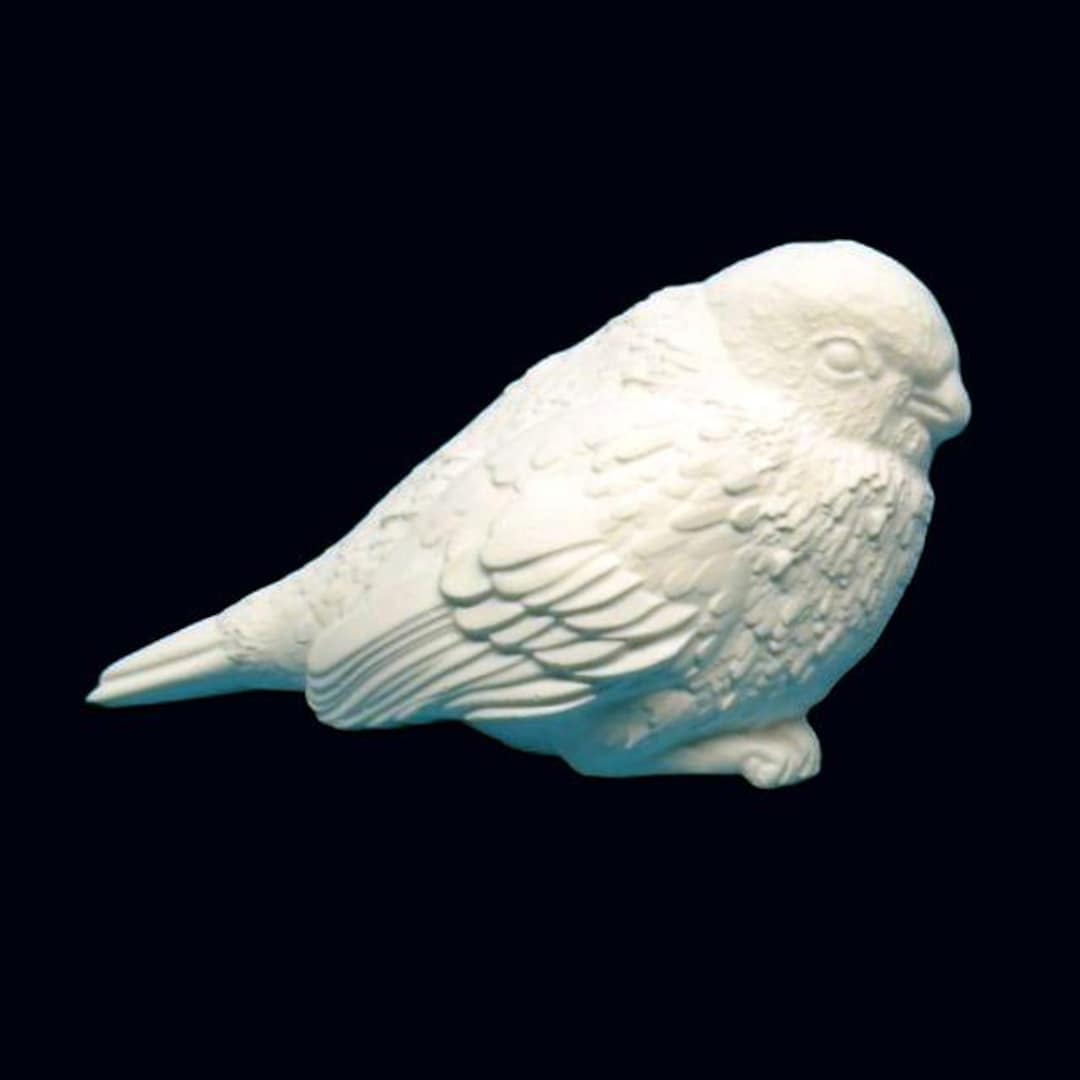 Ready to Paint Plaster, Bird, Plastercraft, Kids Crafts, DIY Chalkware ...