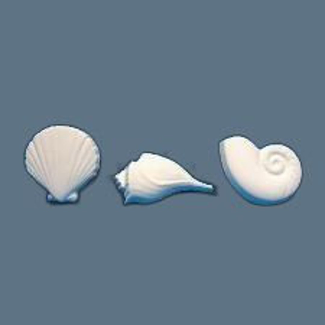 Ready to Paint Plaster Seashells, 3 Pc Seashell Set, U Paint, DIY ...