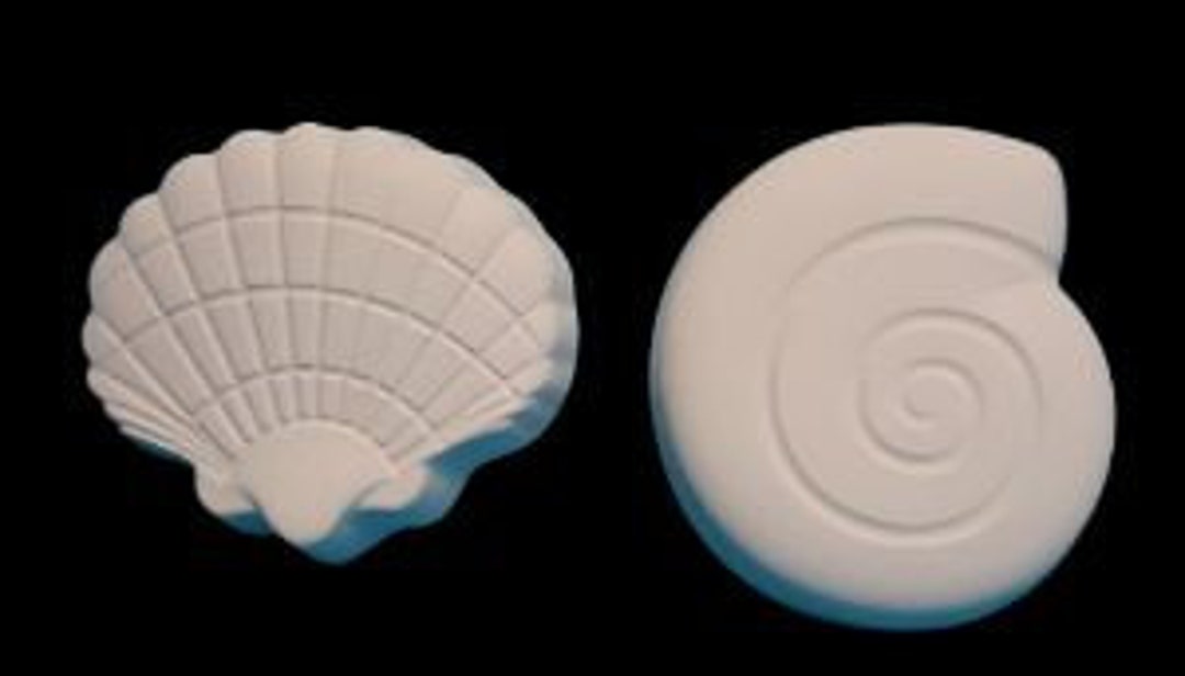 Ready to Paint Plaster 2 Pc Seashells Seashells Set - Etsy