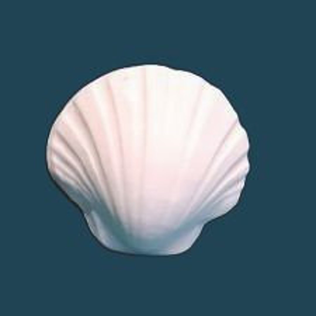 Ready to Paint Plaster Seashell Nautical Bathroom Décor U - Etsy