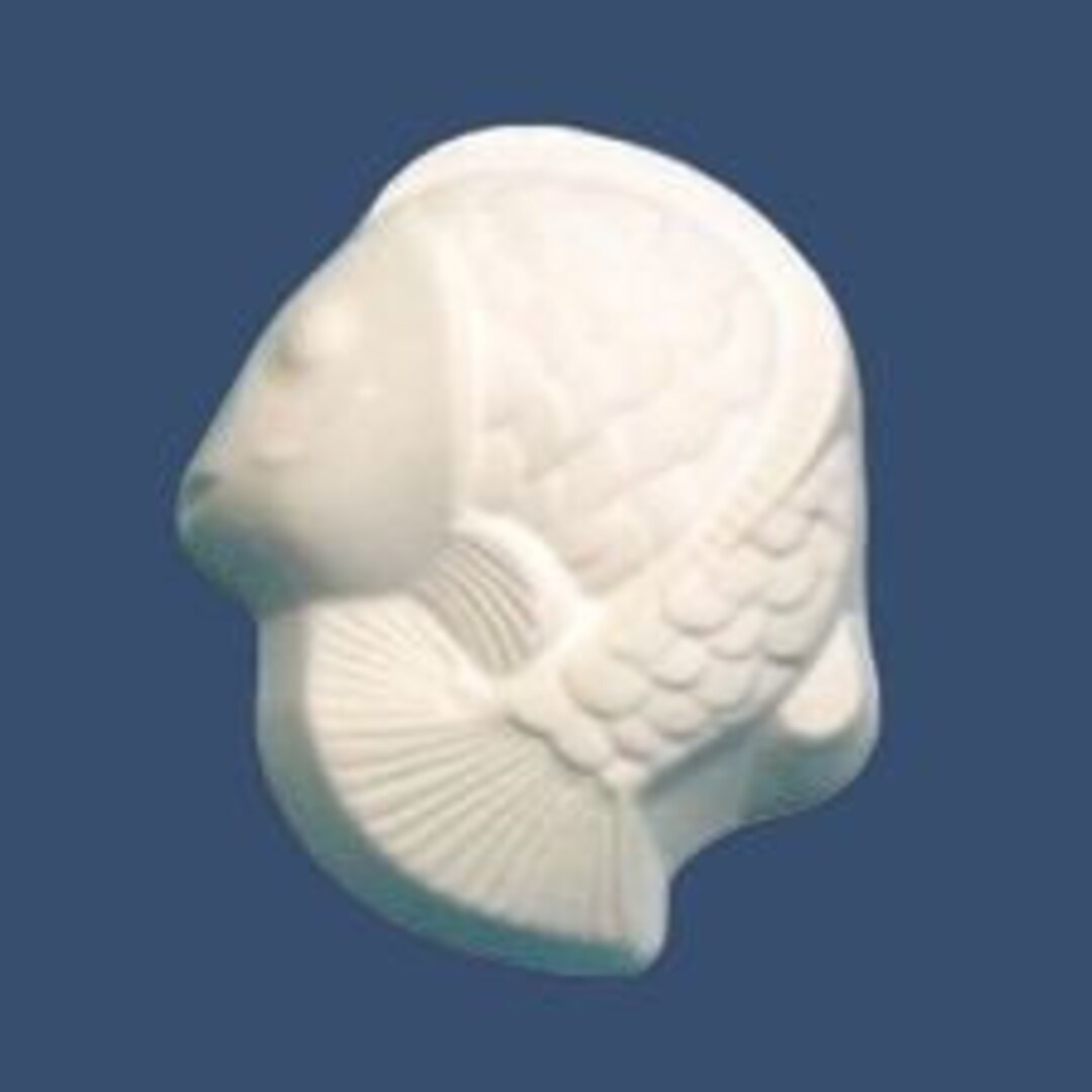 Ready to Paint Plaster Fish, Cute Fish, U Paint, DIY Plaster ...