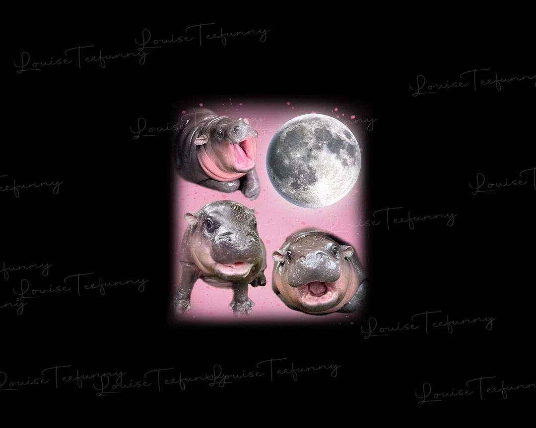 Moo Deng With the Moon PNG, Moo Deng Png, Cute Baby Hippo Moo Deng Png ...