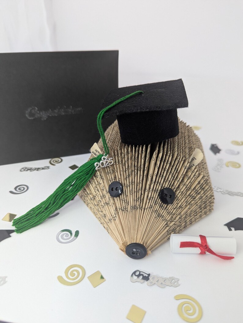 Hedgehog Graduation Upcycled Folded Book Art - Etsy