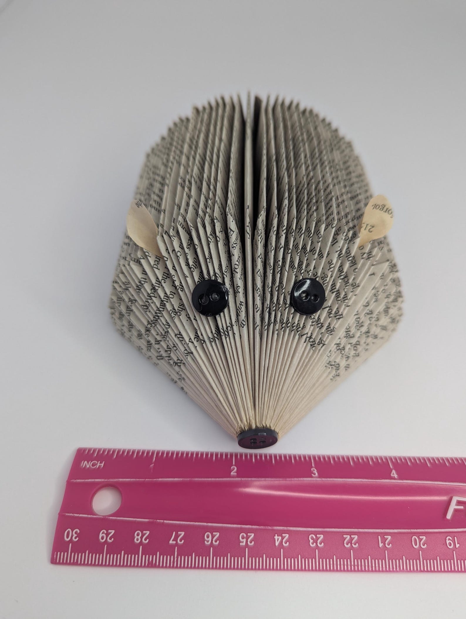 Hedgehog Graduation Upcycled Folded Book Art - Etsy