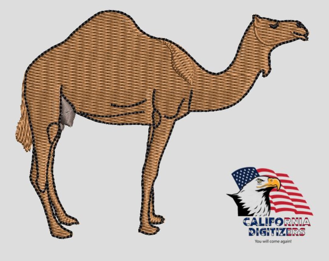 Camel Embroidery Design - Etsy