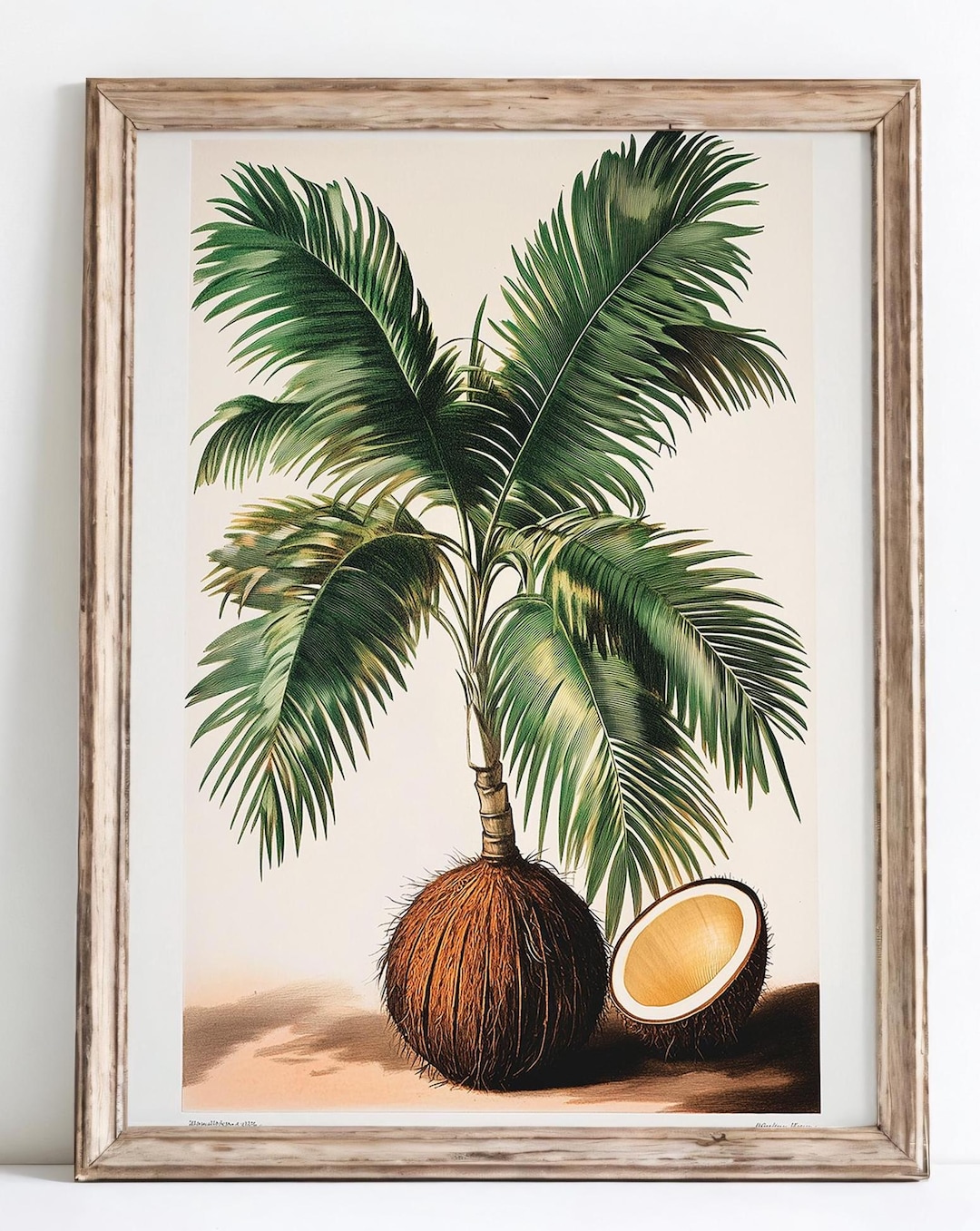 Realistic Coconut Wall Art | Digital Download - Etsy