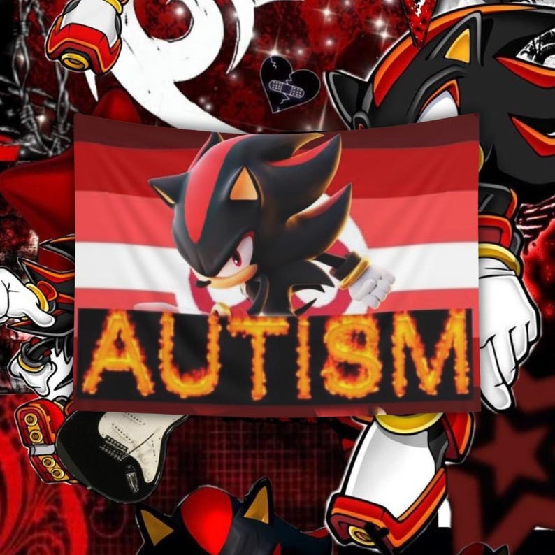 Autism Shadow the Hedgehog Indoor Wall Tapestry, Funny Meme Decor ...