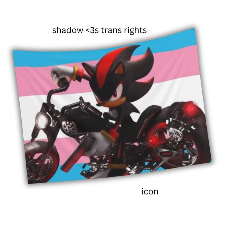 Trans Pride Shadow the Hedgehog Indoor Wall Tapestry, Pride Month Decor ...