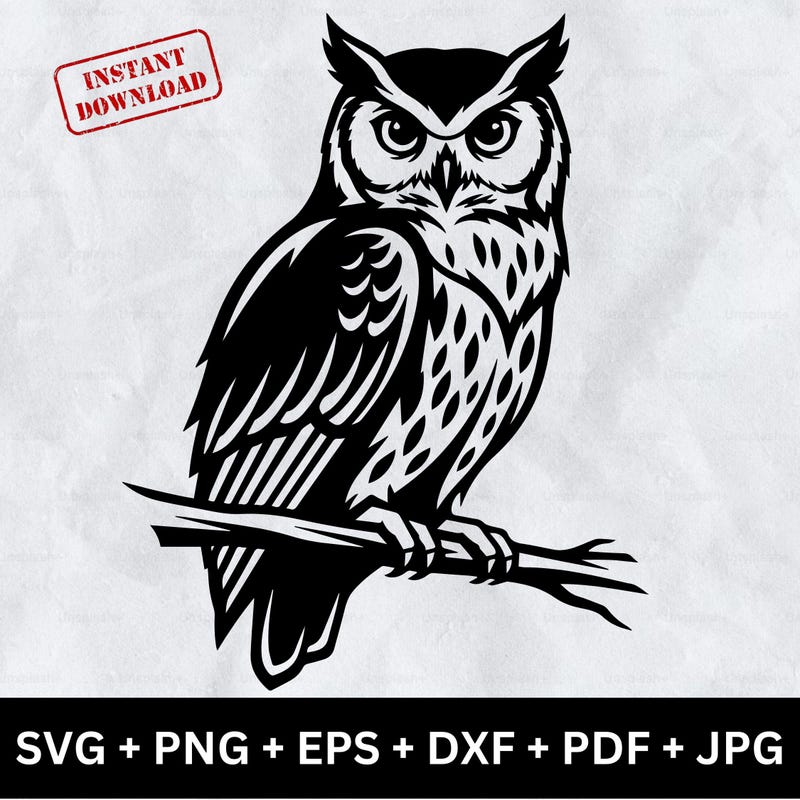 Bird and Owl Wall Decals - Etsy