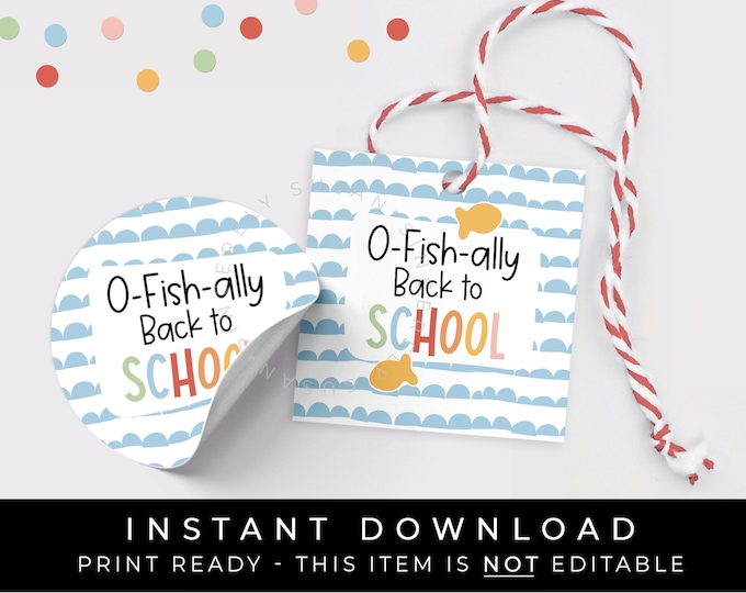 Teachers School Bulletin Board for Preschool Classroom/its - Etsy