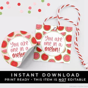 Instant Download Watermelon Printable Tag, You Are One in A Melon ...