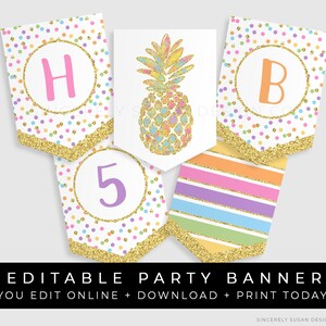 Pineapple Birthday Banner Aloha Luau Party Decorations Rainbow Confetti ...