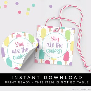 Instant Download Popsicle Tag Printable, You Are the Coolest Summer ...
