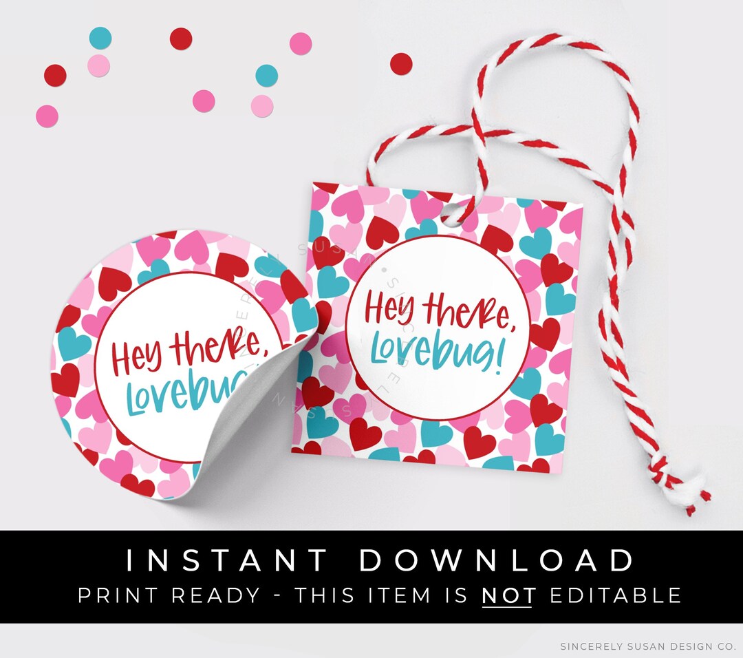 Instant Download Love Bug Valentine Cookie Tag, Hey There Lovebug ...