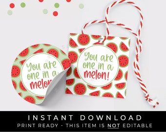 Printable One in a Melon Watermelon Party Birthday Favor Gift - Etsy