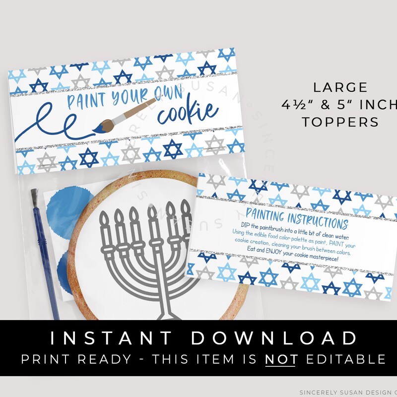 Paint Your Own Cookie - Etsy