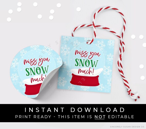 Instant Download Miss You SNOW Much Snowglobe Printable Gift | Etsy